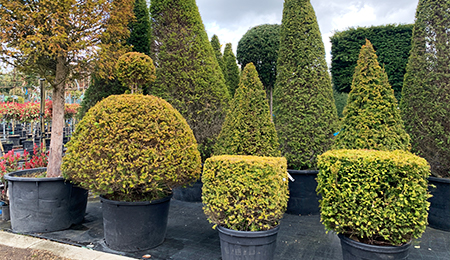 Contact Us | Hedgeforce